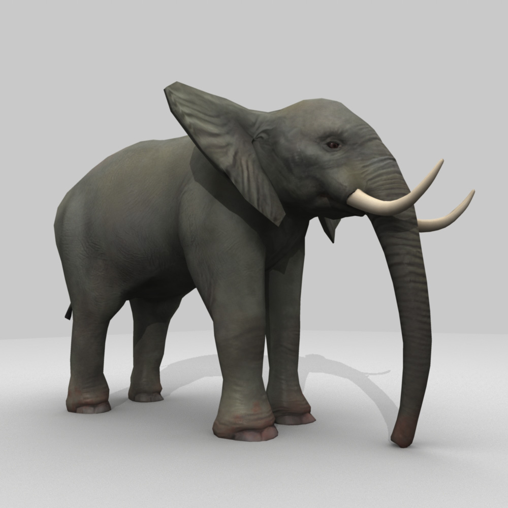 elephant rigged max