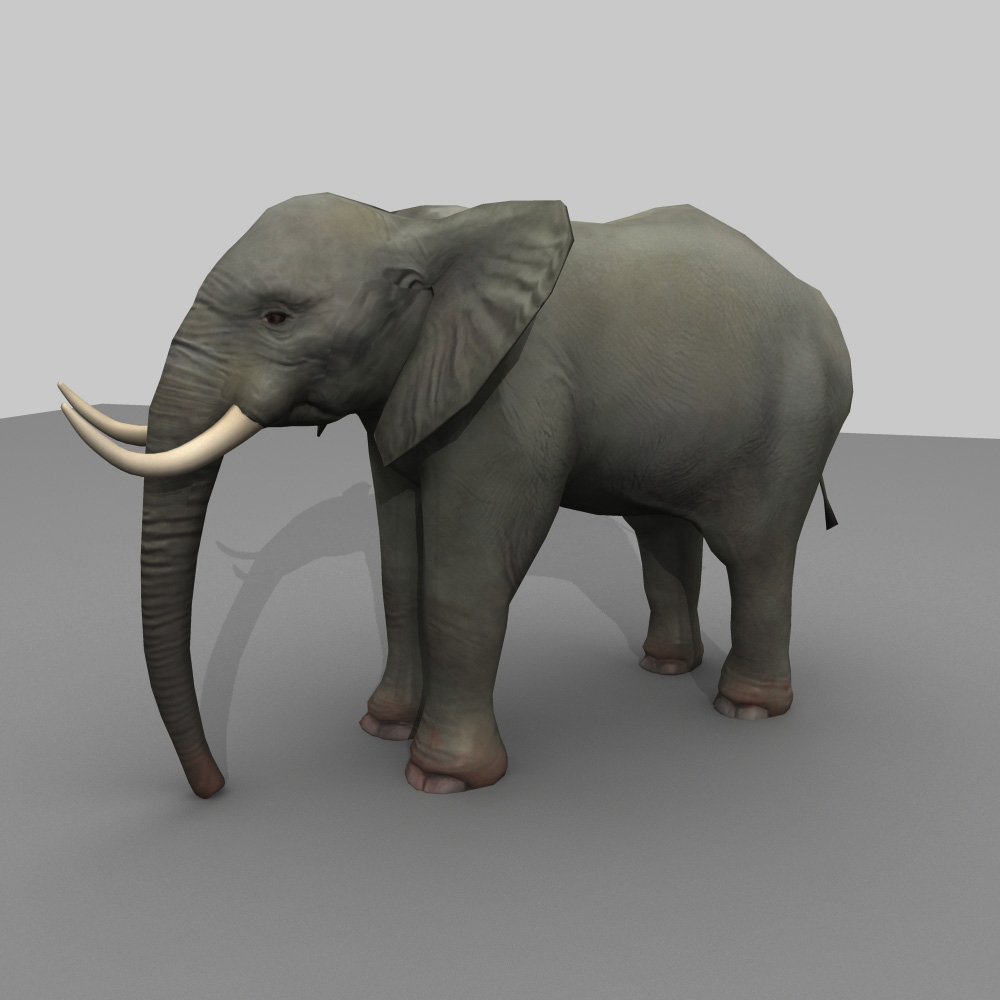 elephant rigged max