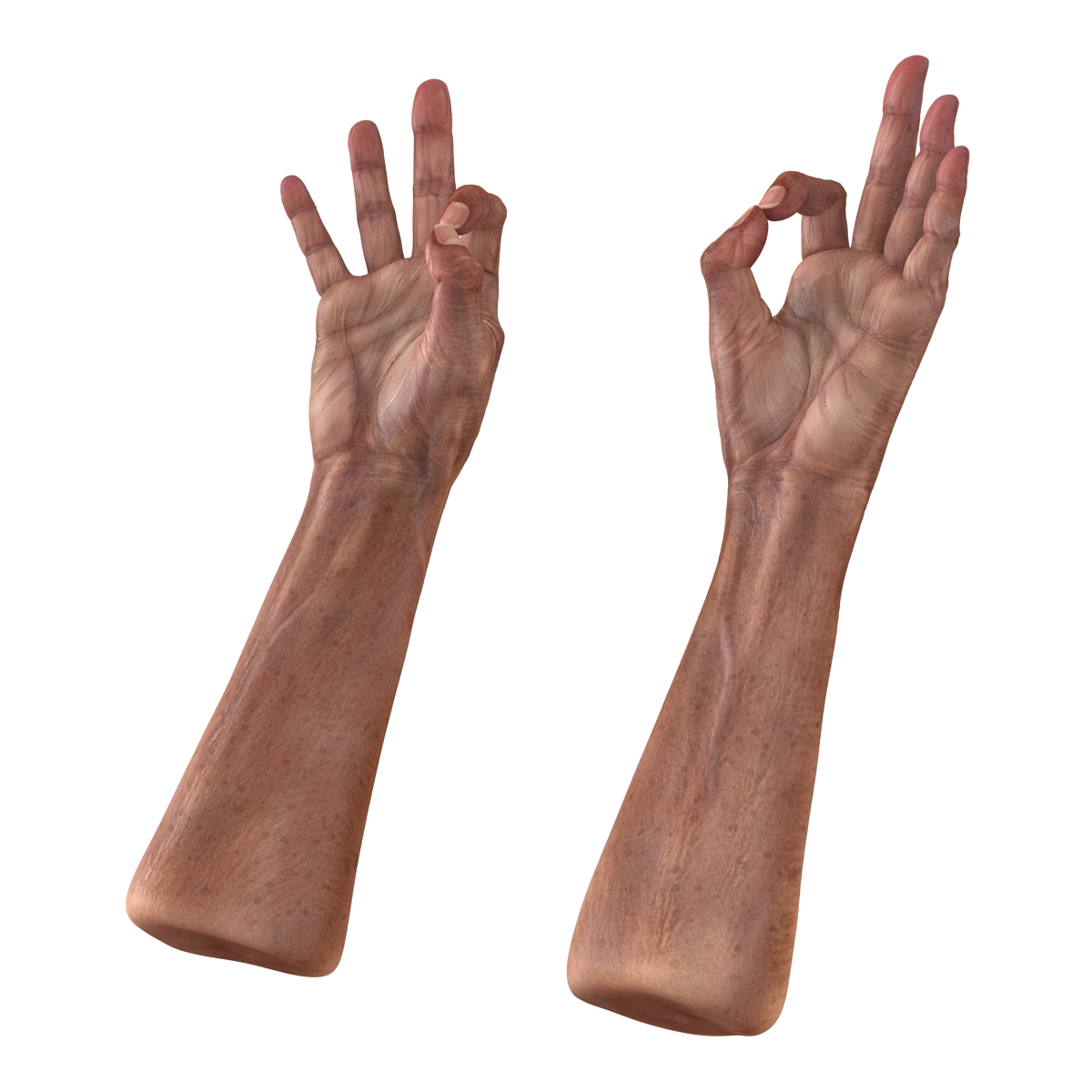 3d old man hands rigged model