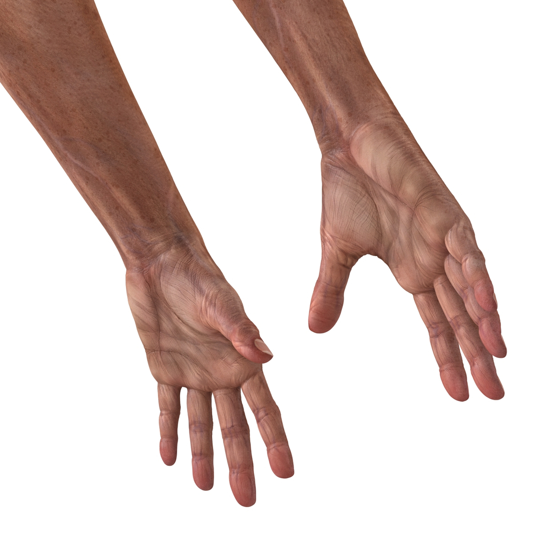 3d old man hands rigged model