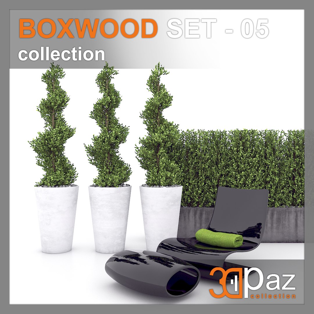 Boxwood Model - TurboSquid 1163879