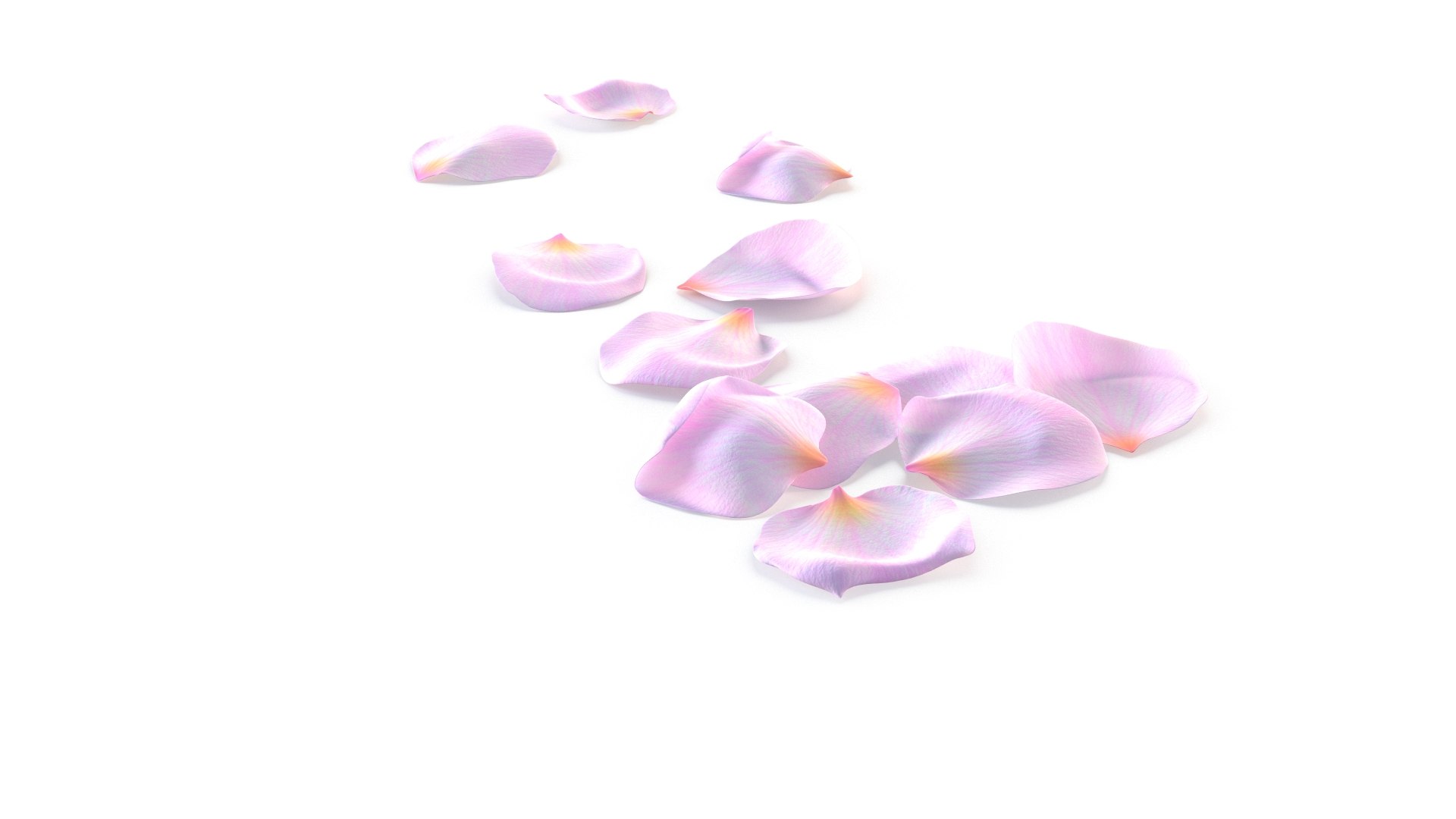 3D Realistic Rose Petals 3D Model - Ultra-High Quality 4K PBR Asset ...