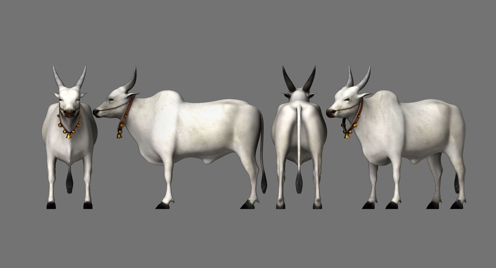 3D Bull Model - TurboSquid 1482837