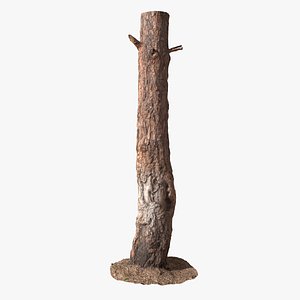 Free 3D Tree Trunk Models - Available For Download On TurboSquid