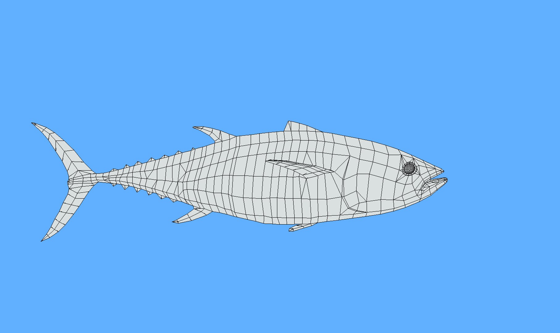 3D Tuna Model - TurboSquid 1261272