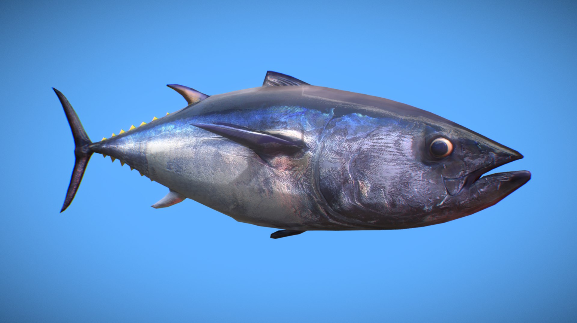 3D Tuna Model - TurboSquid 1261272