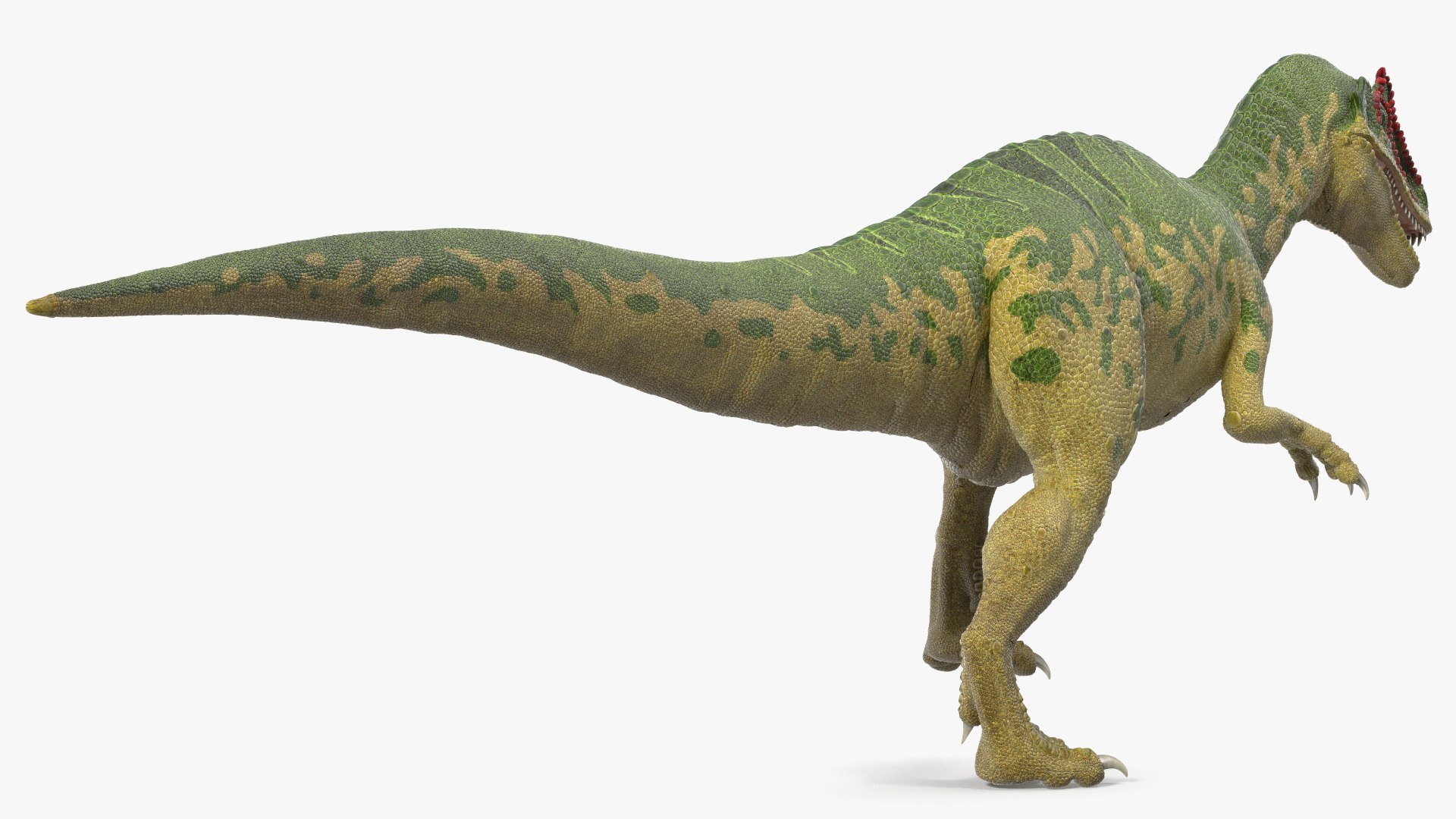 Allosaurus Running 3D model - TurboSquid 2161045