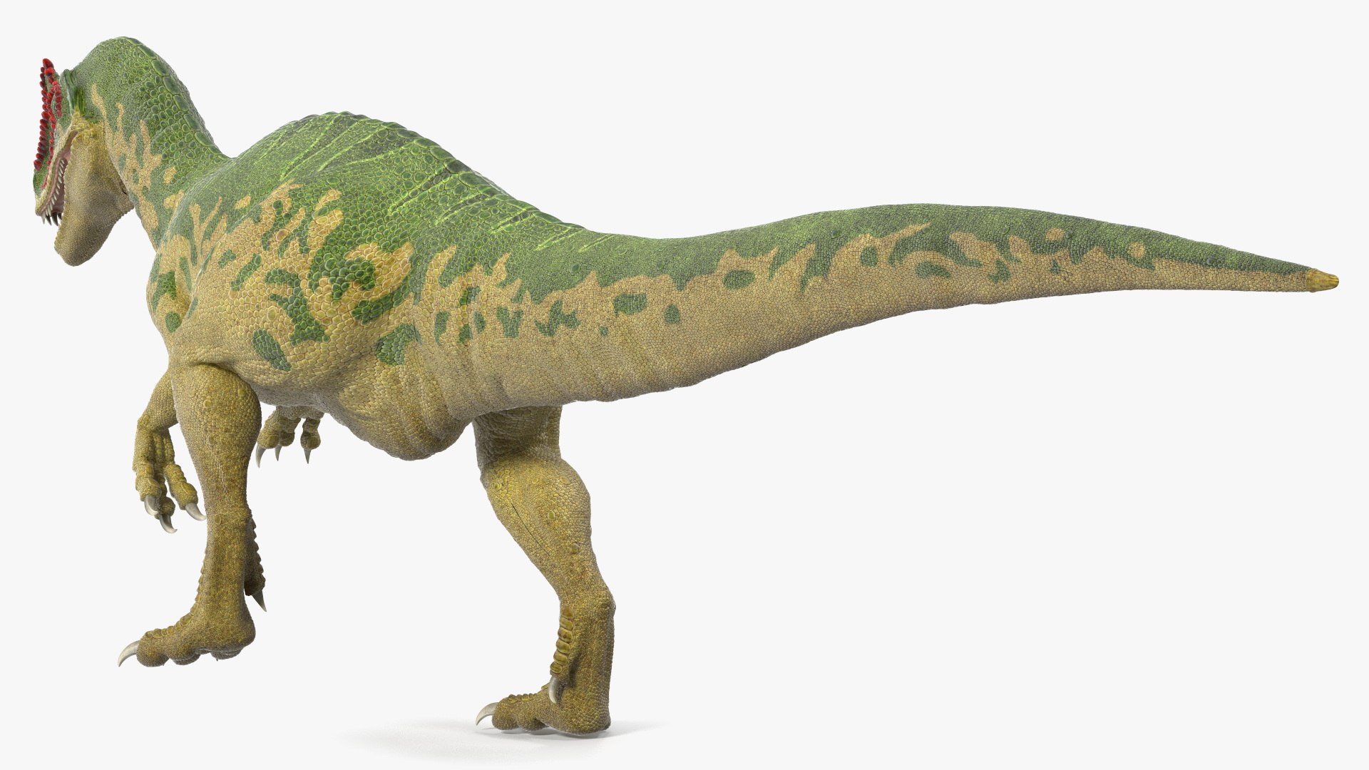 Allosaurus Running 3D model - TurboSquid 2161045