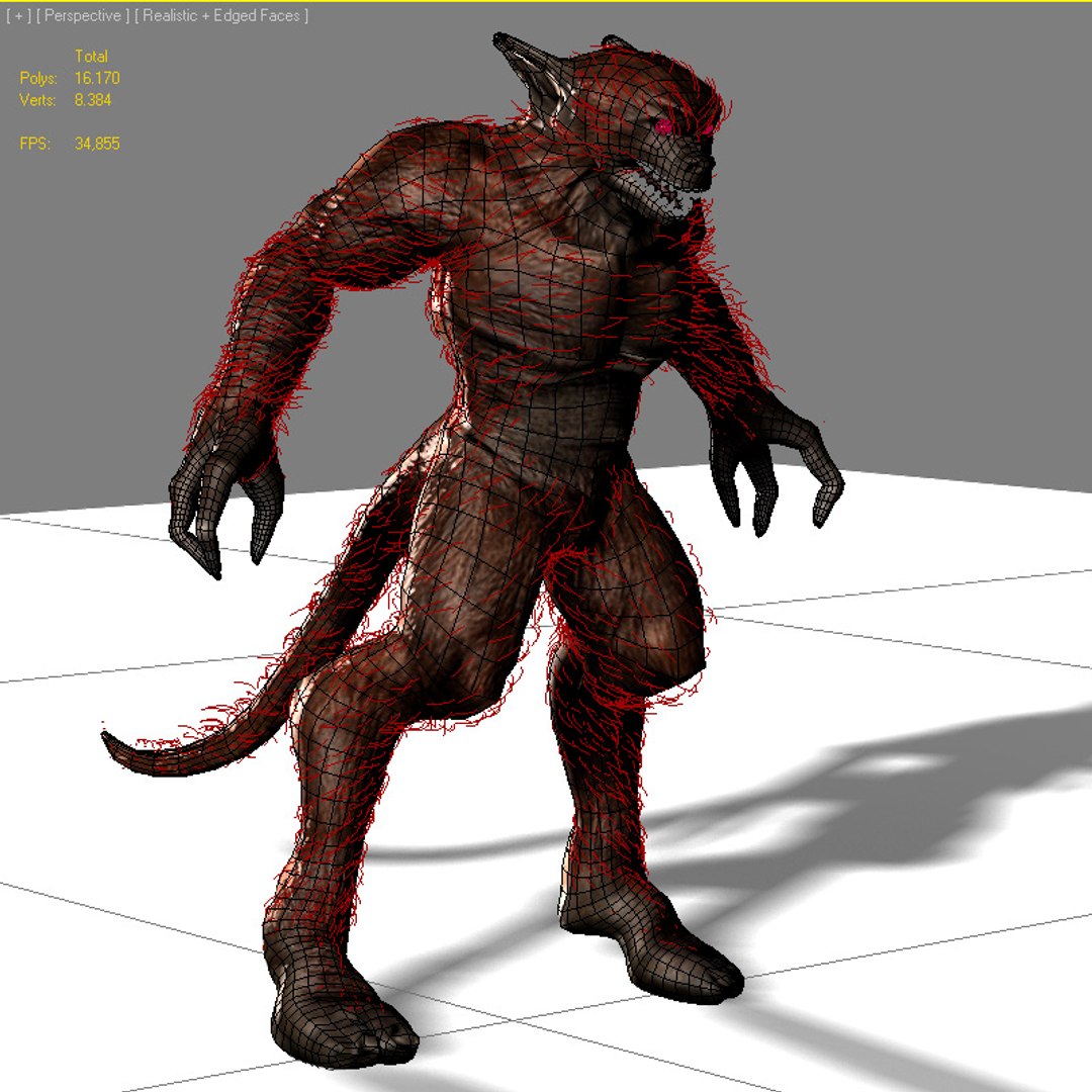 3dsmax Werewolf Wolf