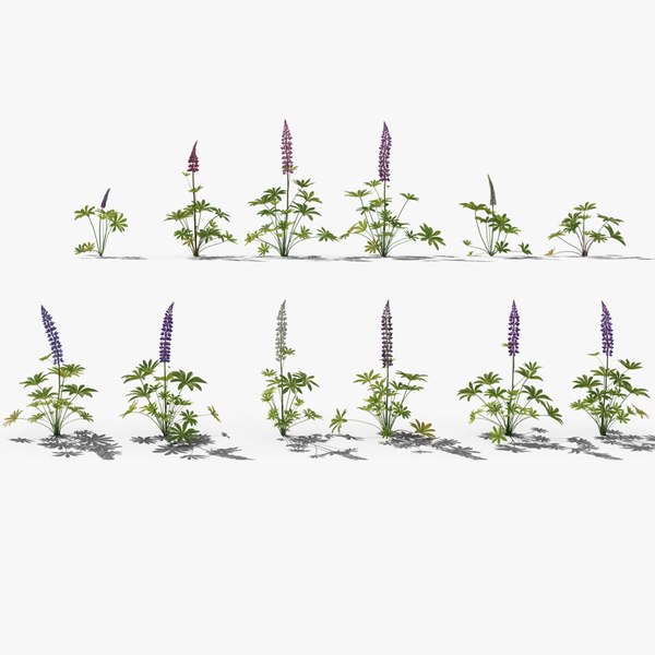 Snowdrop Flower 3D Models for Download | TurboSquid