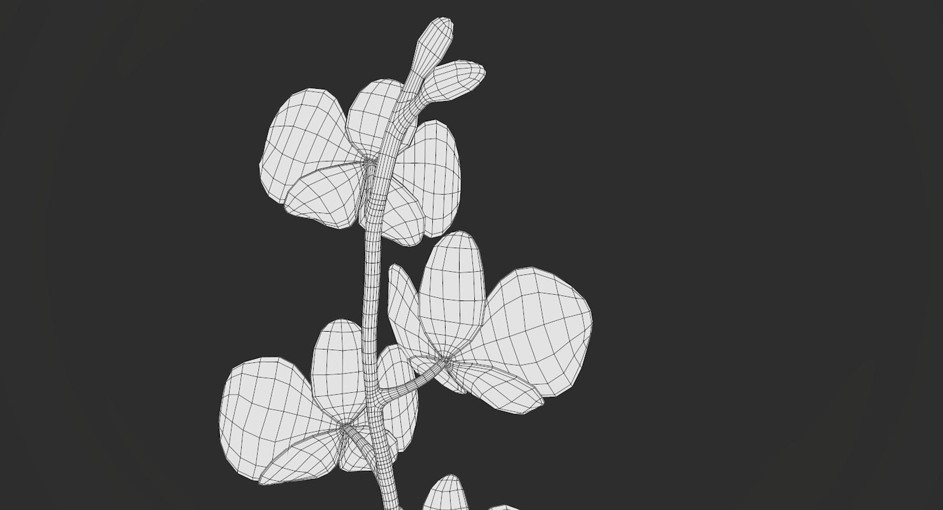 3D Model Realistic Blue Orchid - TurboSquid 1396966