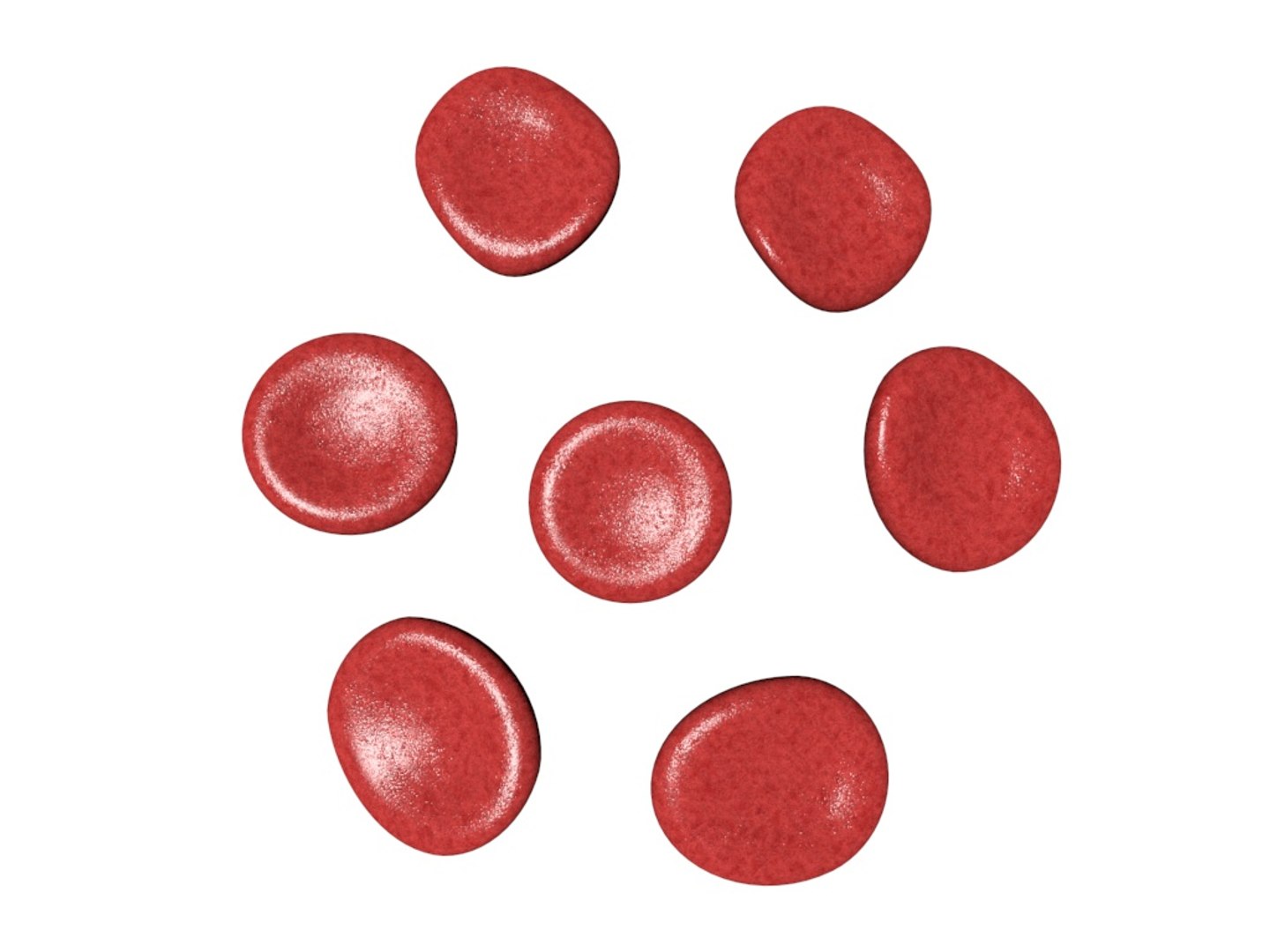 Realistic Blood Cells Max