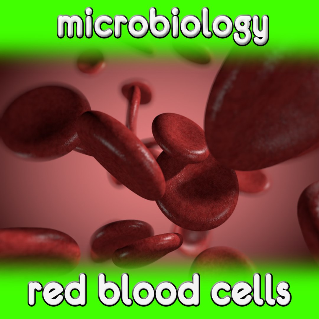 Realistic Blood Cells Max