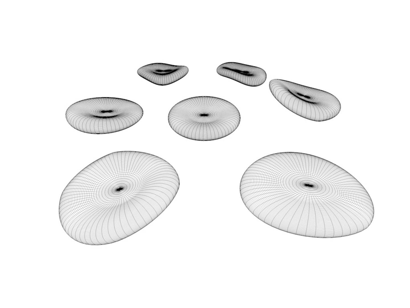 Realistic Blood Cells Max