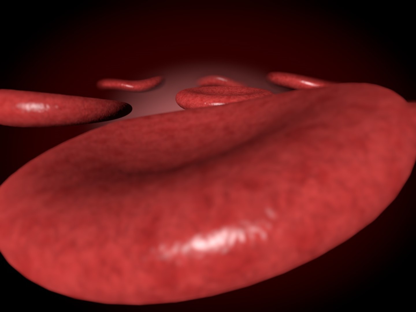 Realistic Blood Cells Max