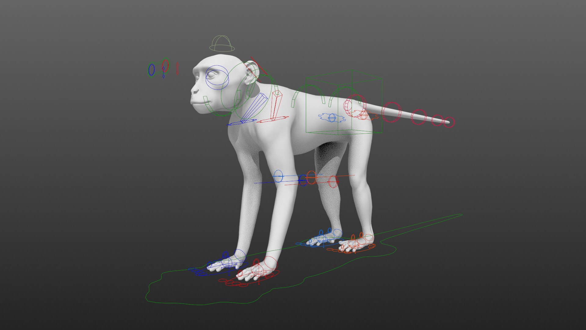 3D Vervet Monkey Animation model - TurboSquid 2075694