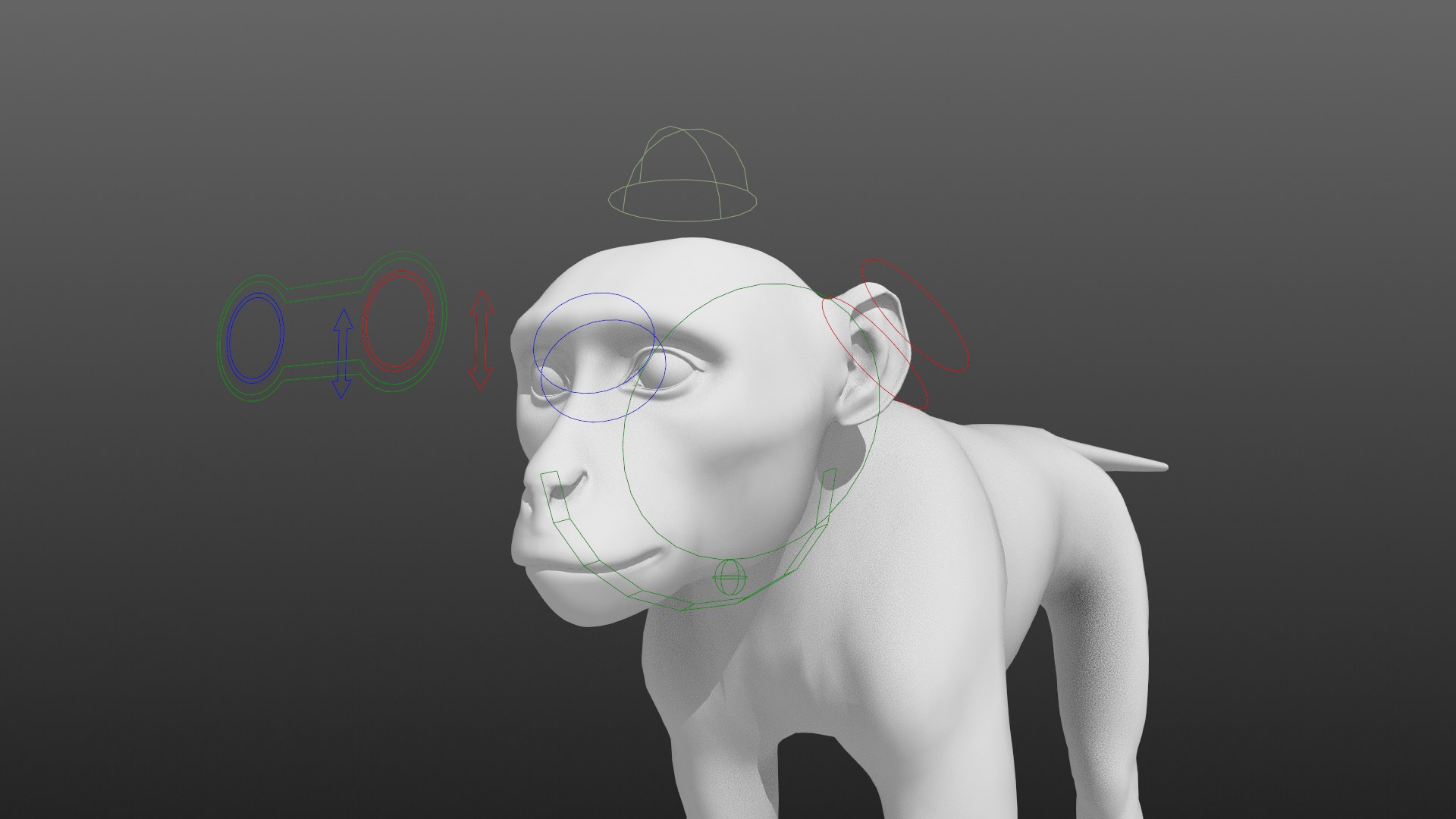 3D Vervet Monkey Animation model - TurboSquid 2075694
