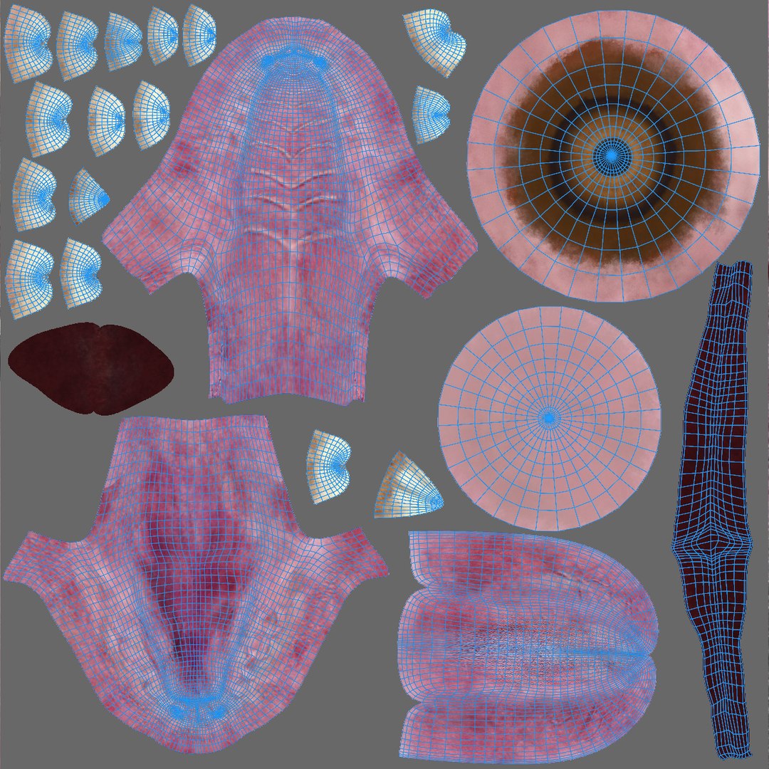 3D Vervet Monkey Animation model - TurboSquid 2075694