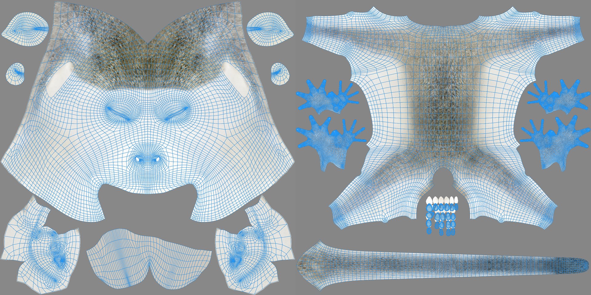 3D Vervet Monkey Animation model - TurboSquid 2075694