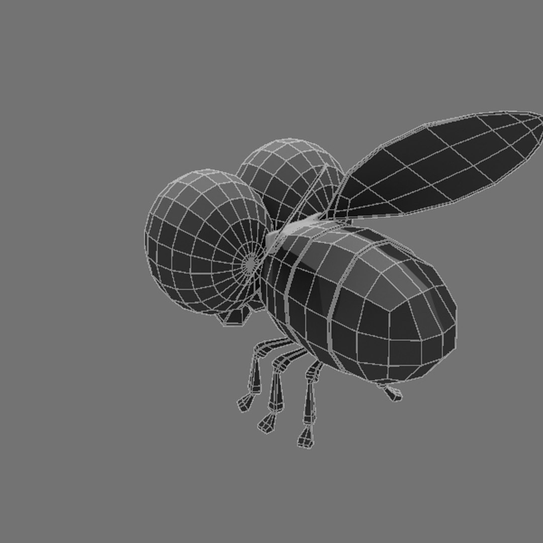 3d Cartoon Fly
