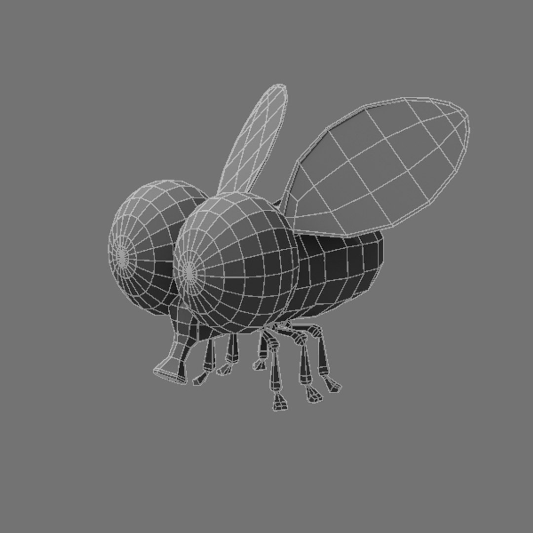 3d Cartoon Fly