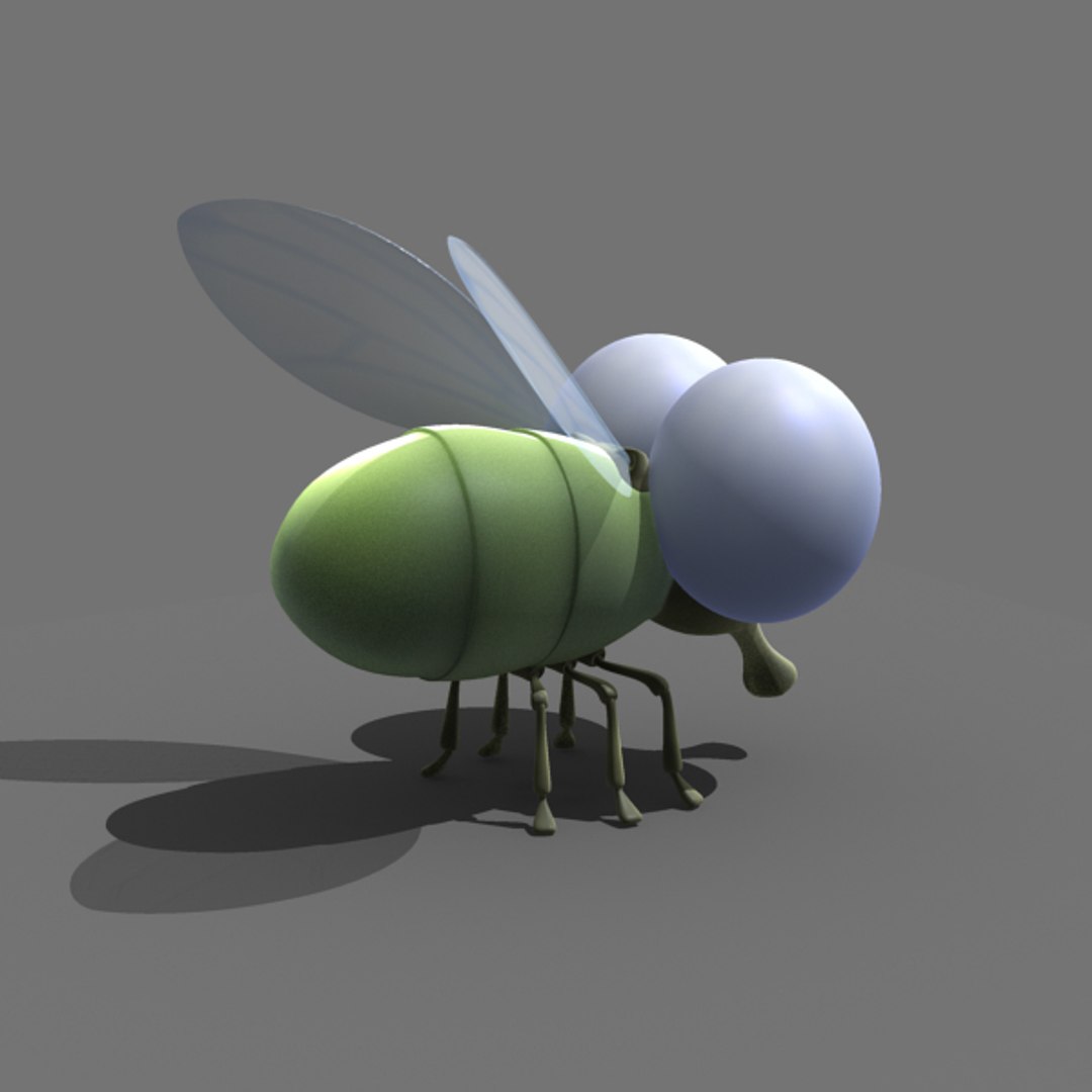 3d Cartoon Fly