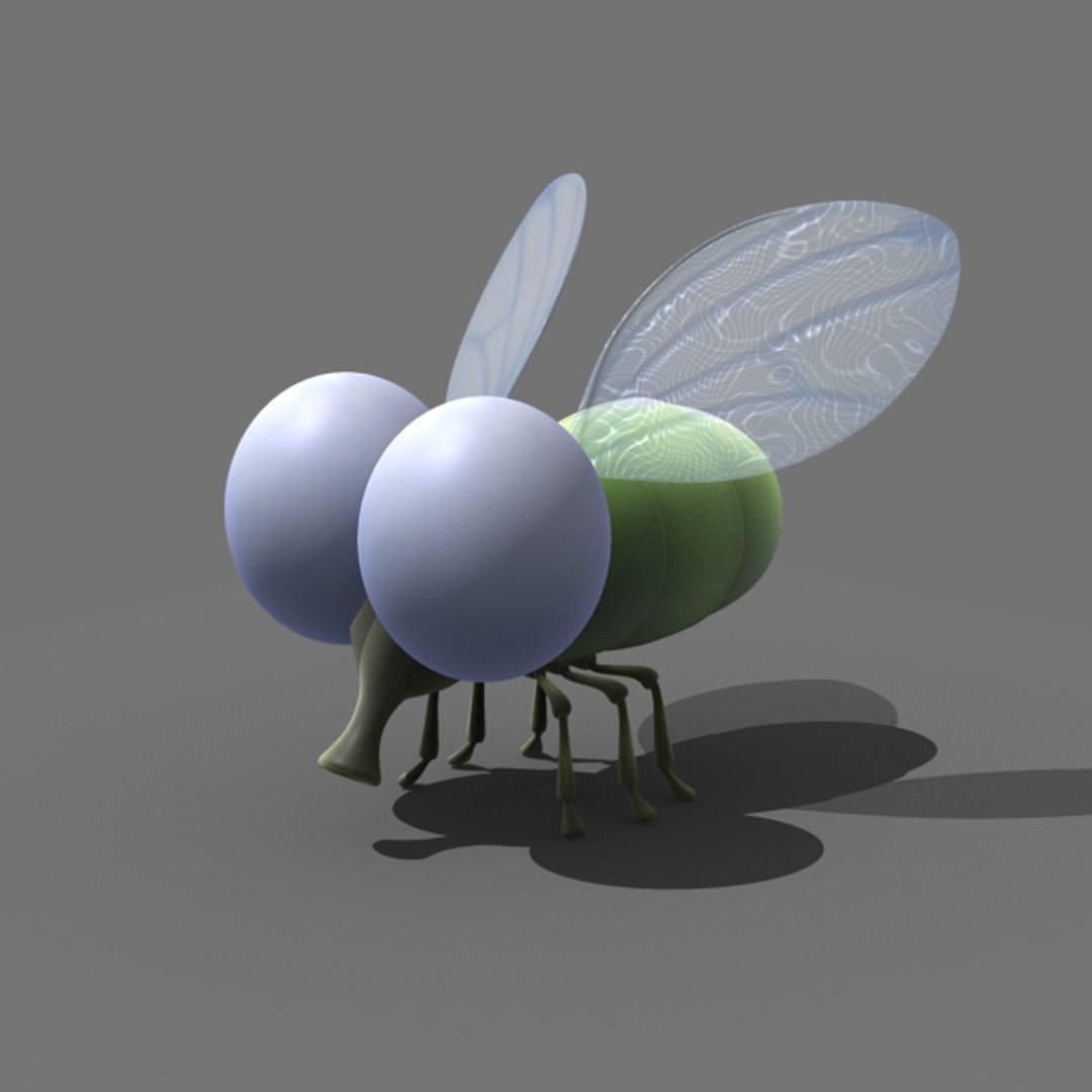 3d Cartoon Fly