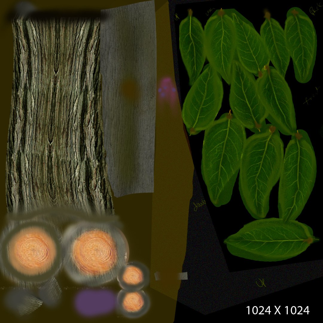 3d model plants woody mistletoe