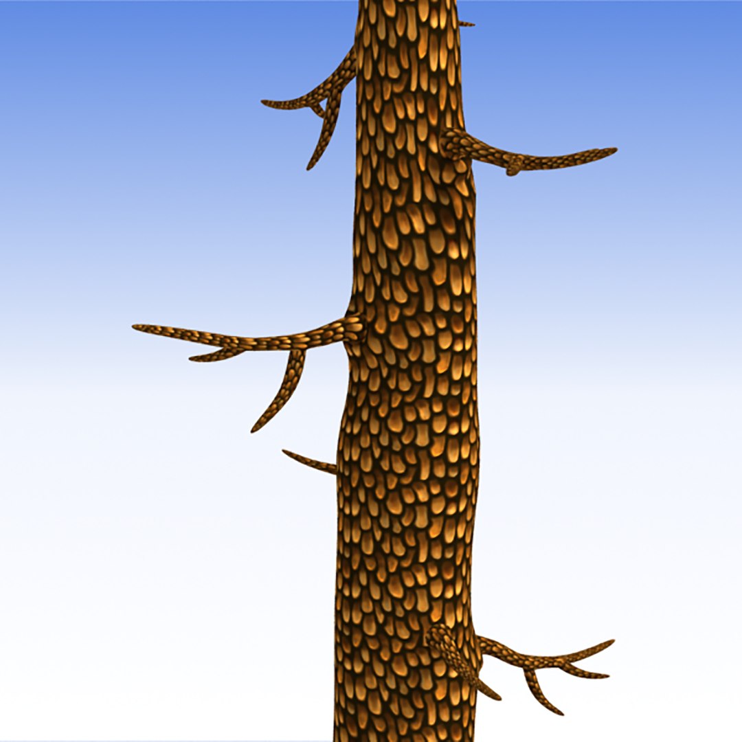 Tree Fur-tree Fur 3d Model