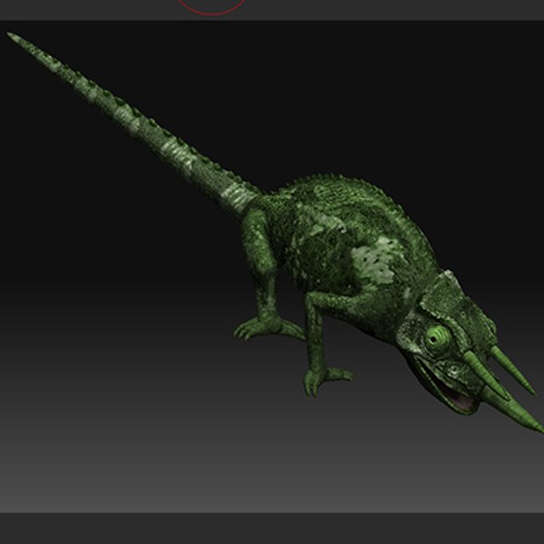 Chameleon 3D Models for Download | TurboSquid