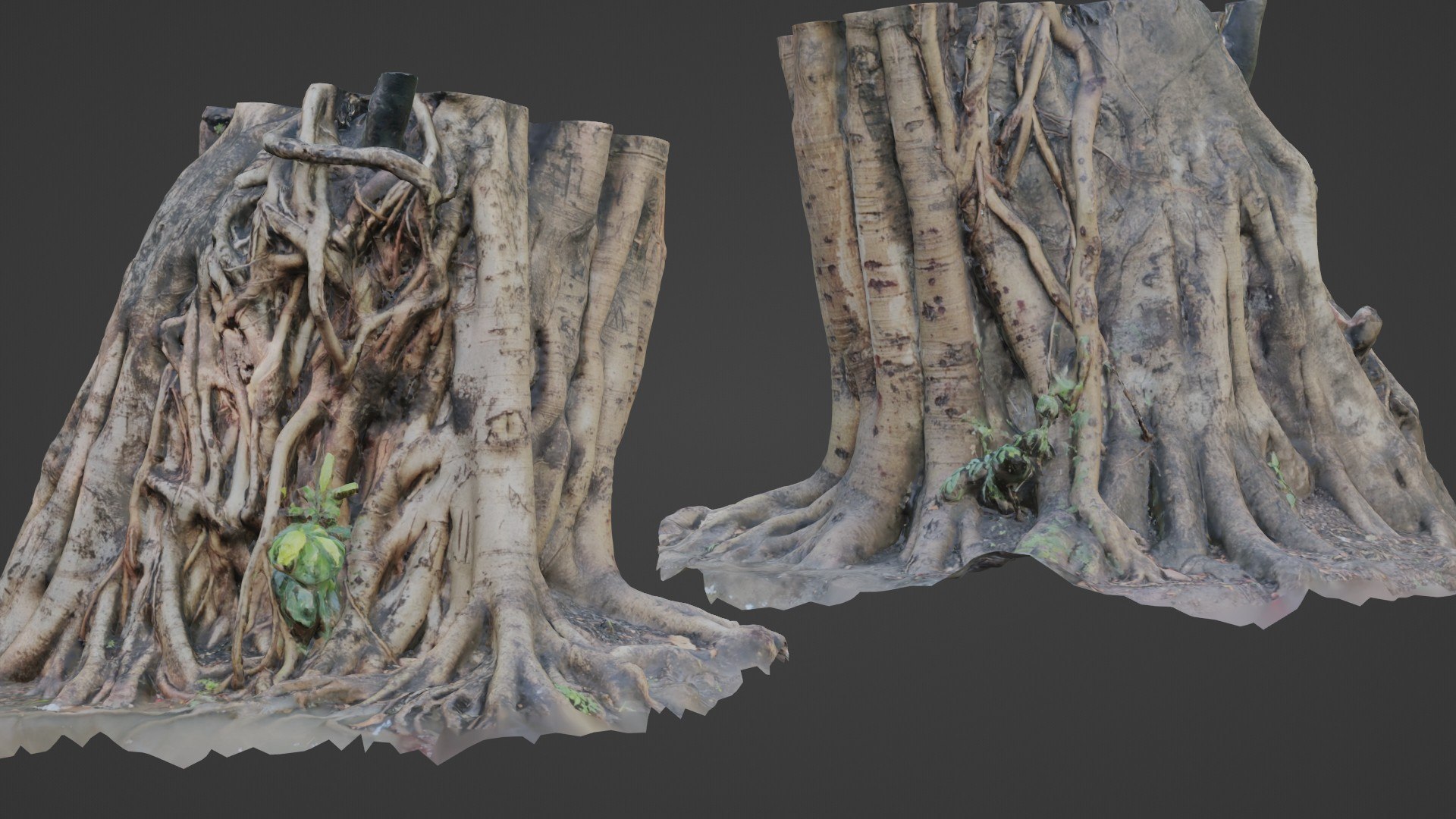Uprooted Tree Trunk 3D Model - TurboSquid 2329667