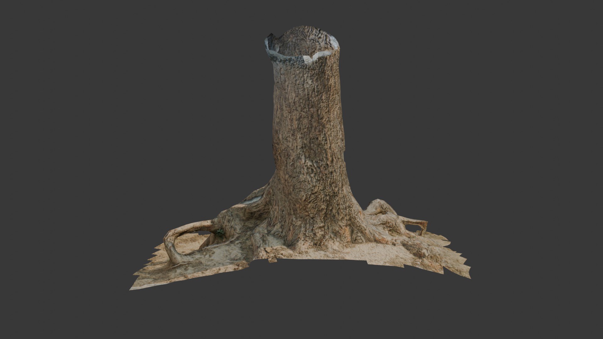 3D Large Broken Tree Stump With Exposed Roots - TurboSquid 2408326