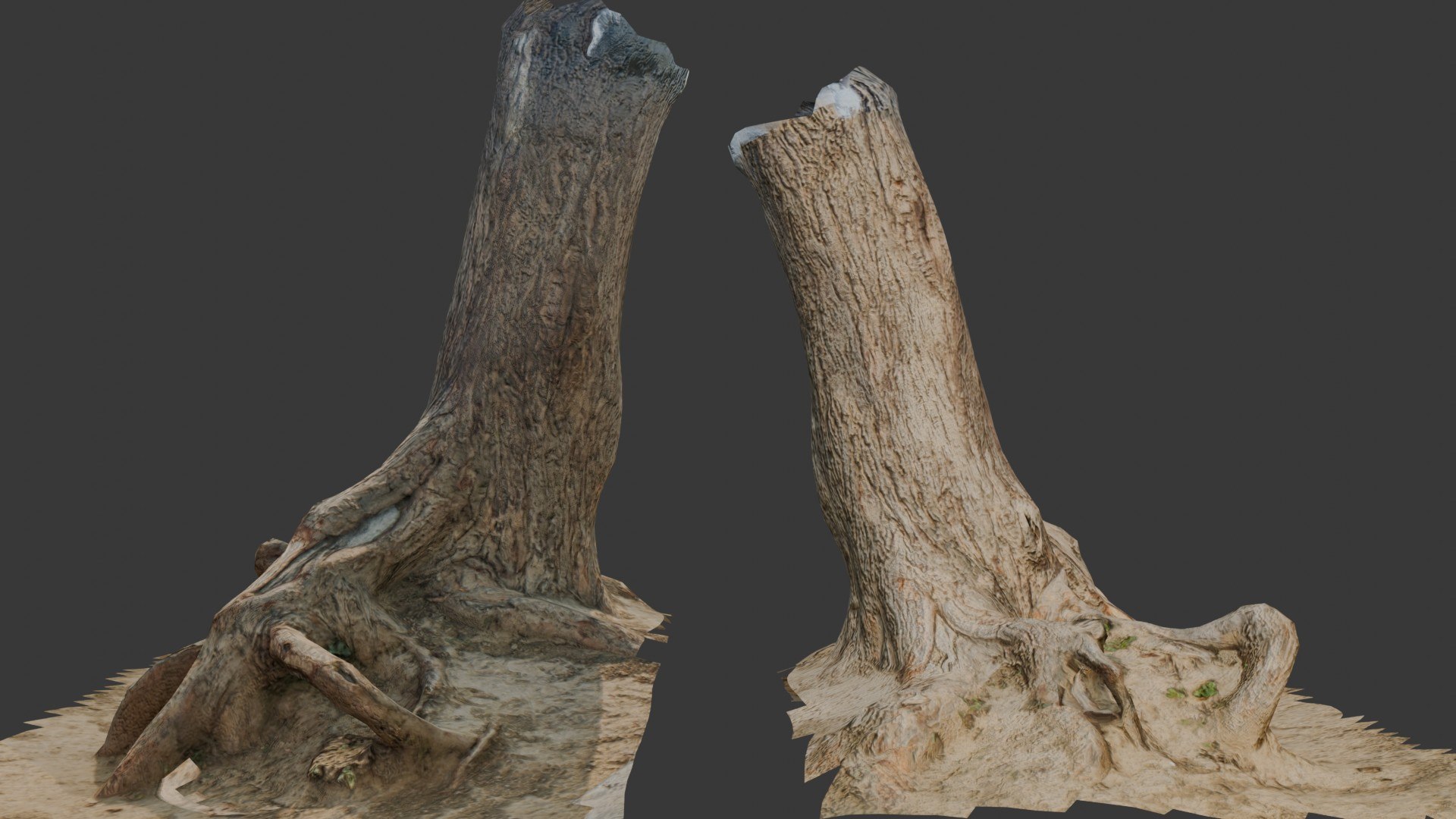 3D Large Broken Tree Stump With Exposed Roots - TurboSquid 2408326