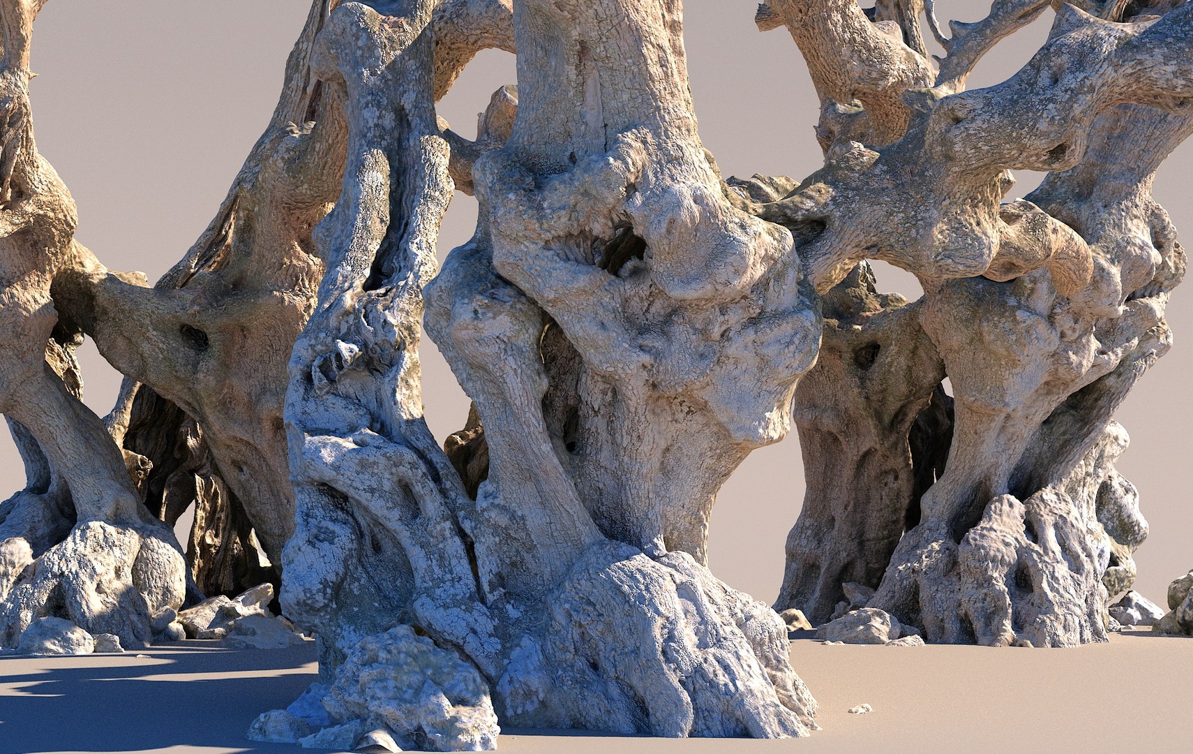 A Thousand-year-old Olive Tree 3D - TurboSquid 2290009