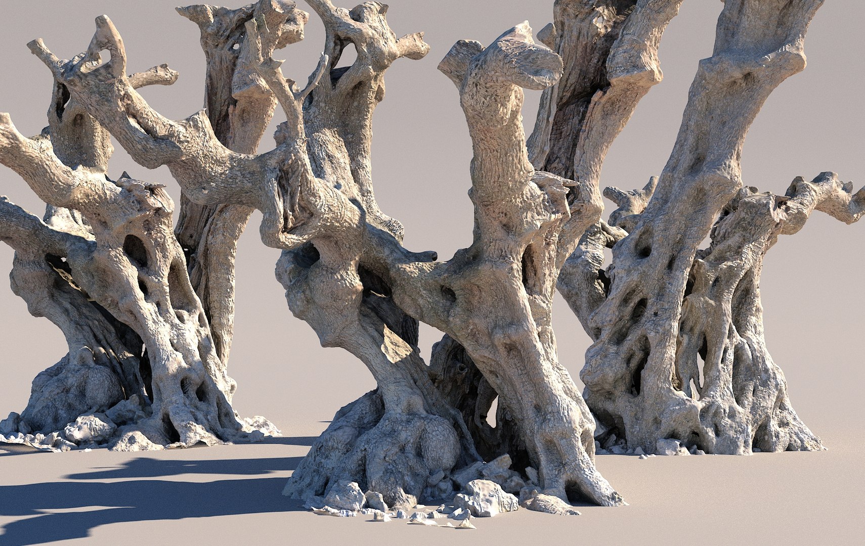 A Thousand-year-old Olive Tree 3D - TurboSquid 2290009