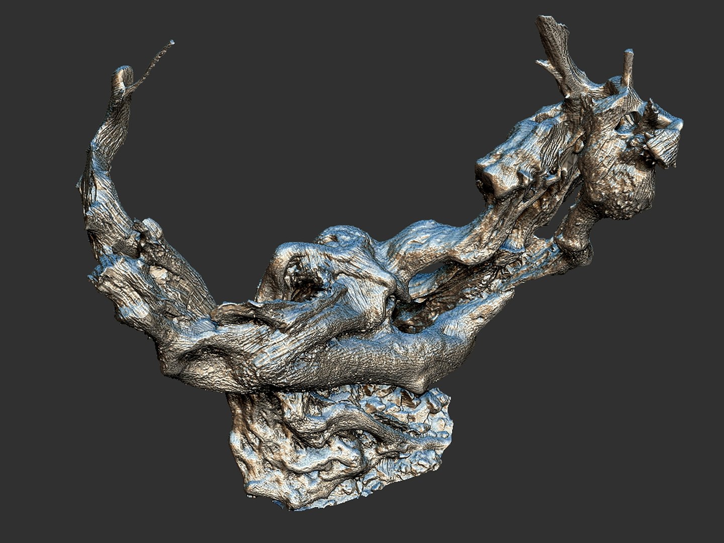 A Thousand-year-old Olive Tree 3D - TurboSquid 2290009