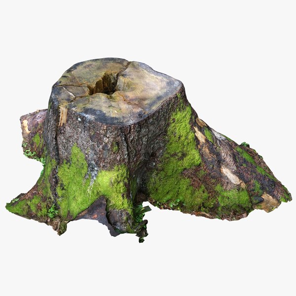 3D Tree Stump Collection 08 - TurboSquid 1755859