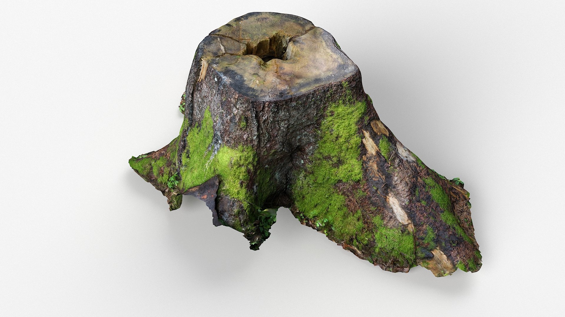 3D Tree Stump - TurboSquid 1596942