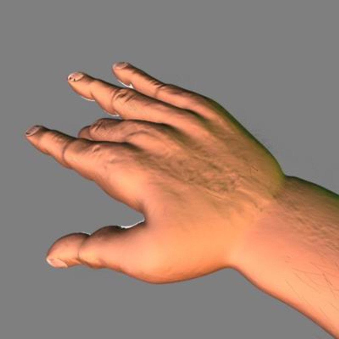 Hand Fingers 3d Model