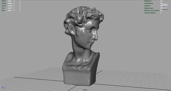 bust 3d model
