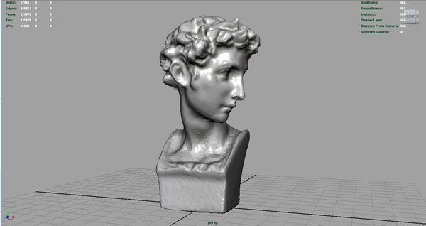 bust 3d model