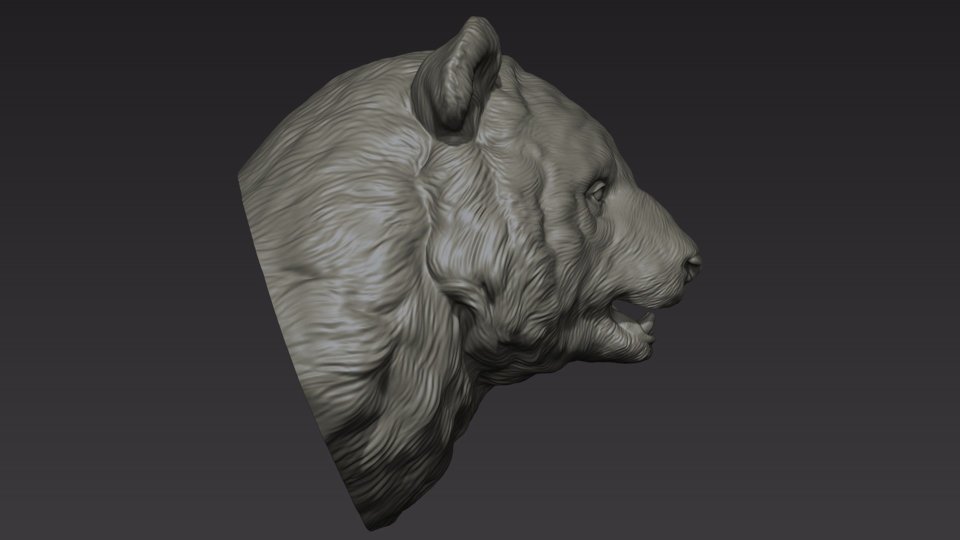 Panda Head 3D Model - TurboSquid 1821759