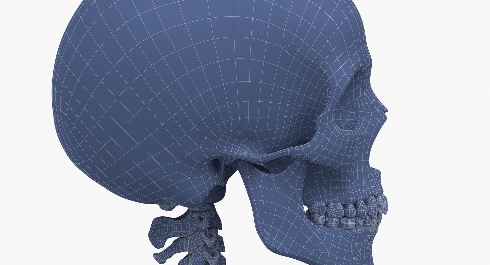 3D real human rib cage model - TurboSquid 1645173