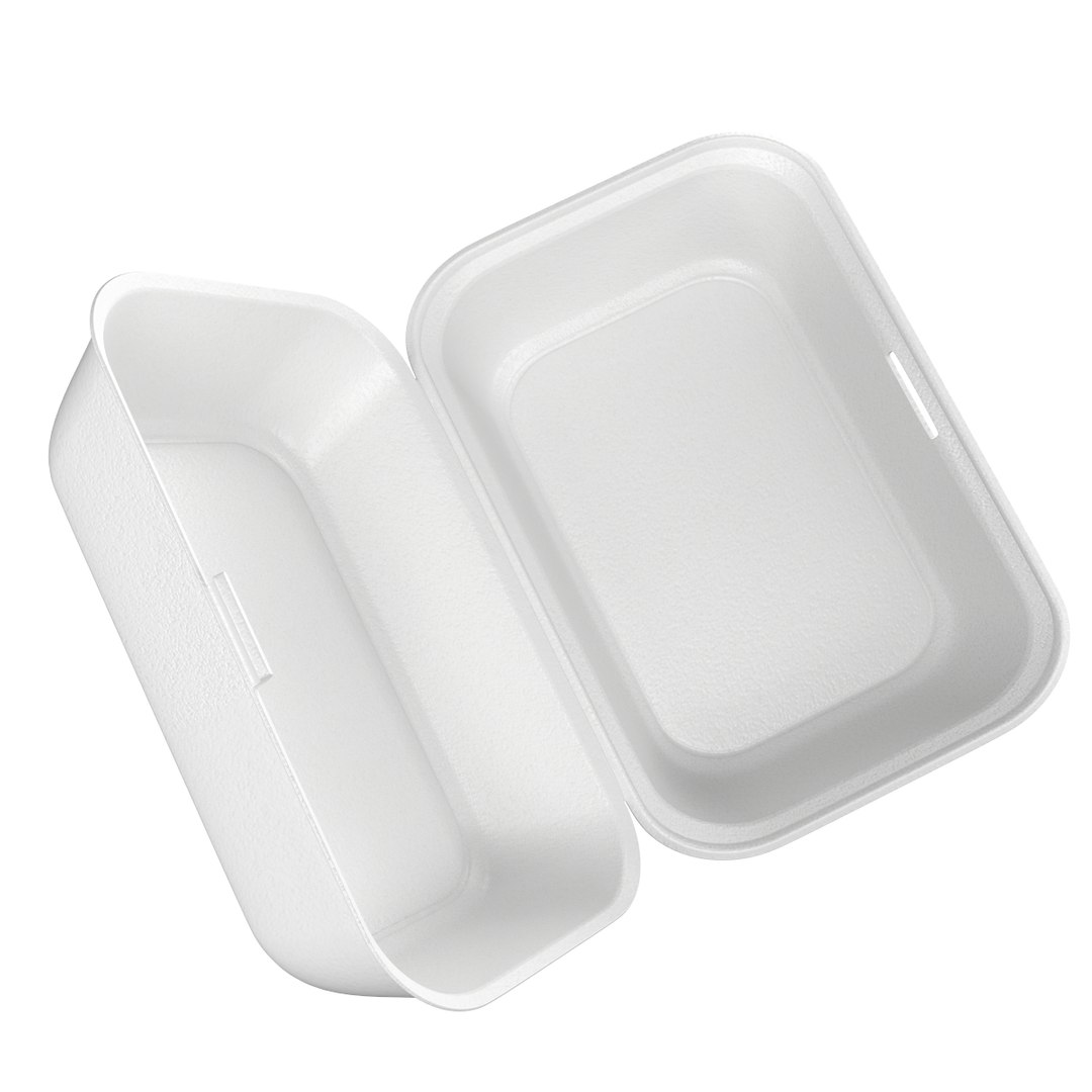 Disposable Container Styrofoam Max