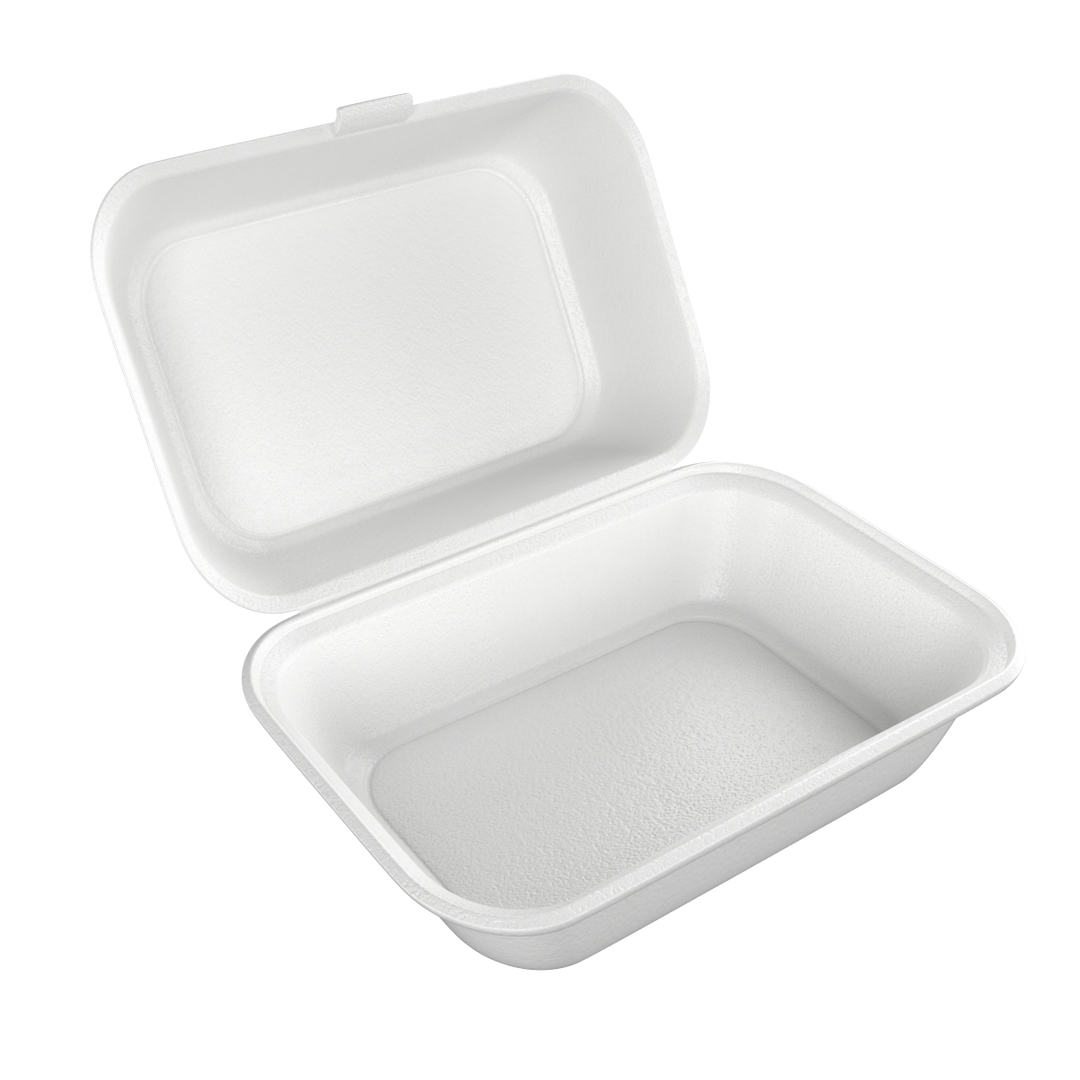 Disposable Container Styrofoam Max