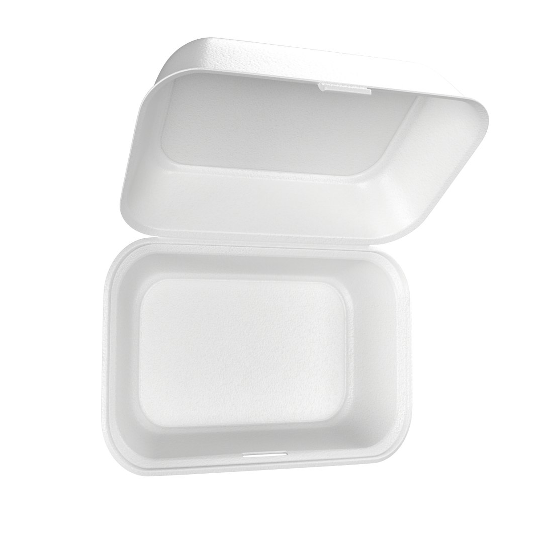 Disposable Container Styrofoam Max