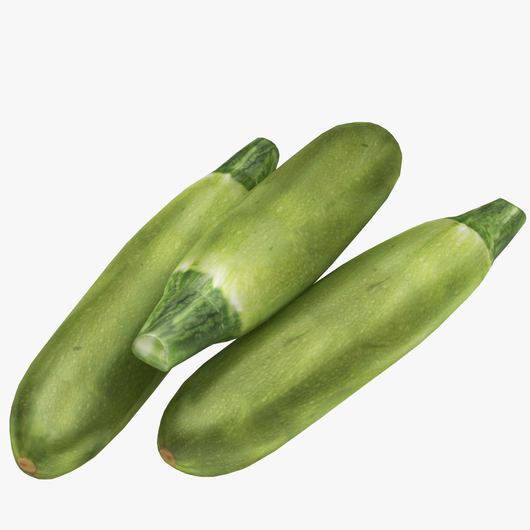 3D Squash Ready - TurboSquid 1543434