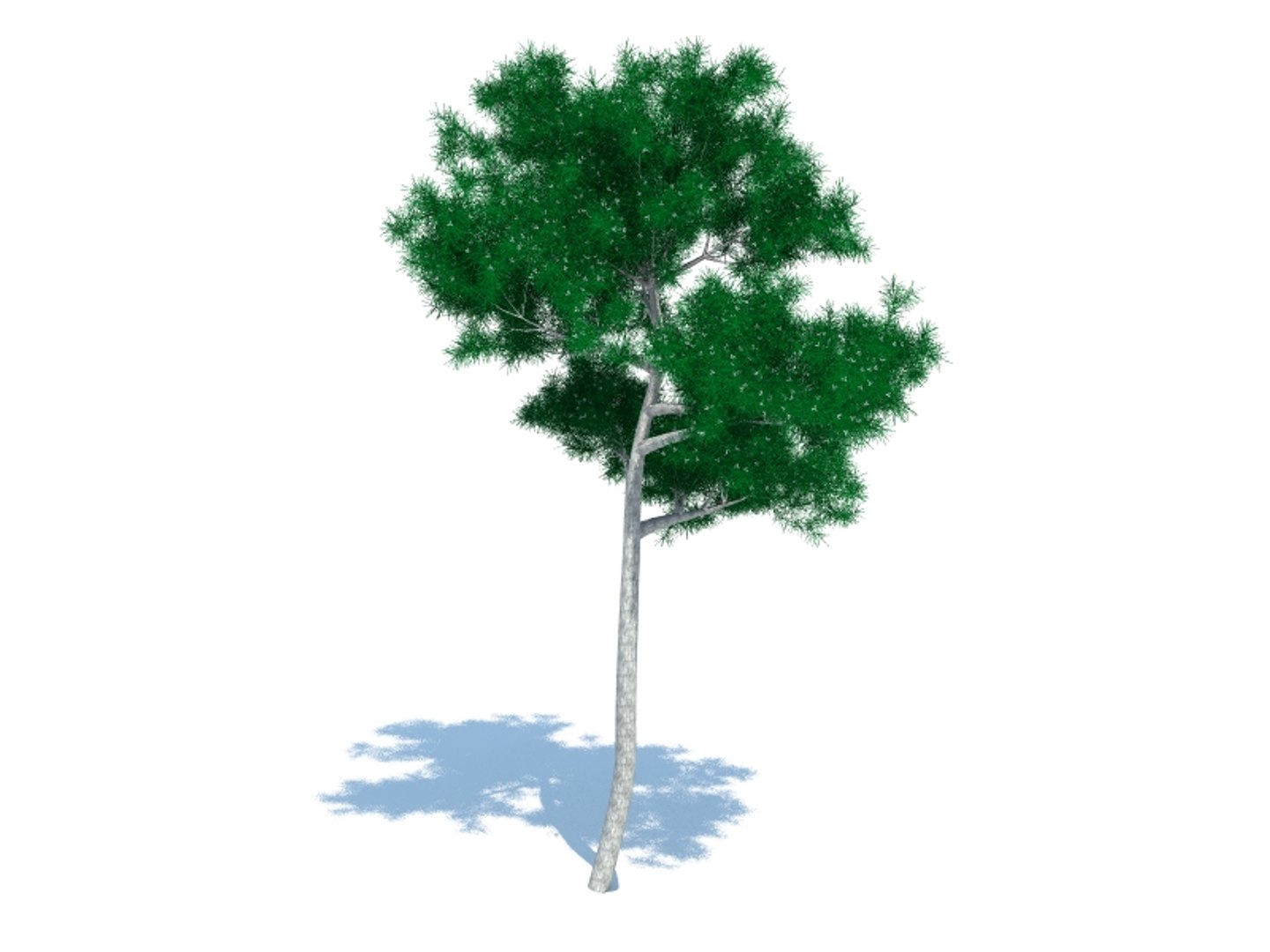Free Max Model Realistic Tree