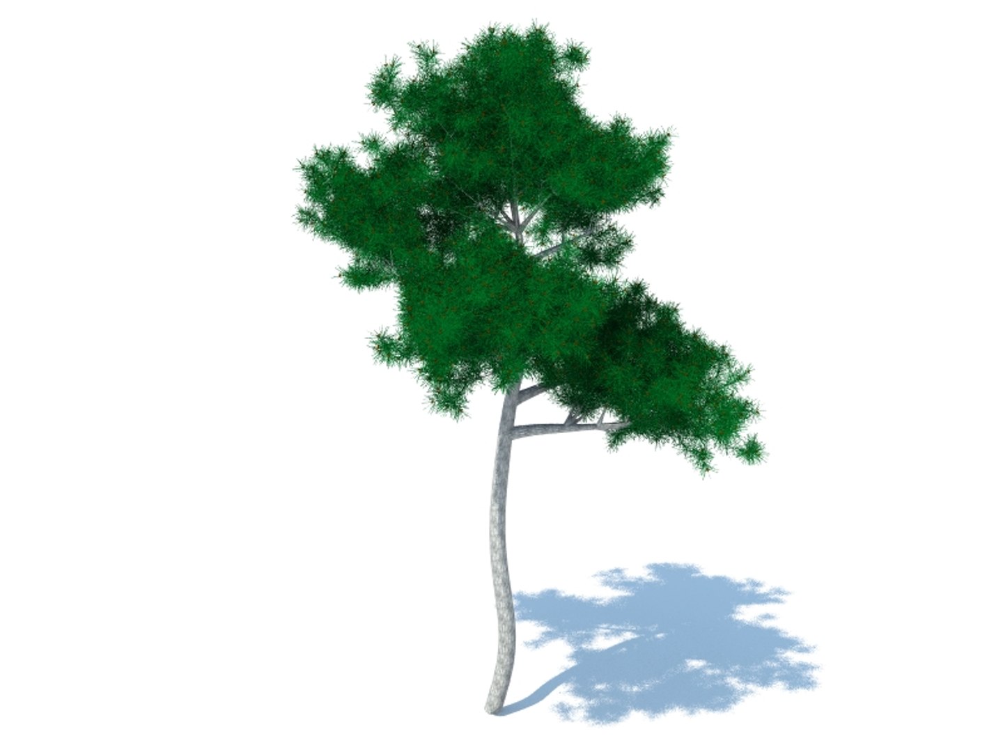 Free Max Model Realistic Tree