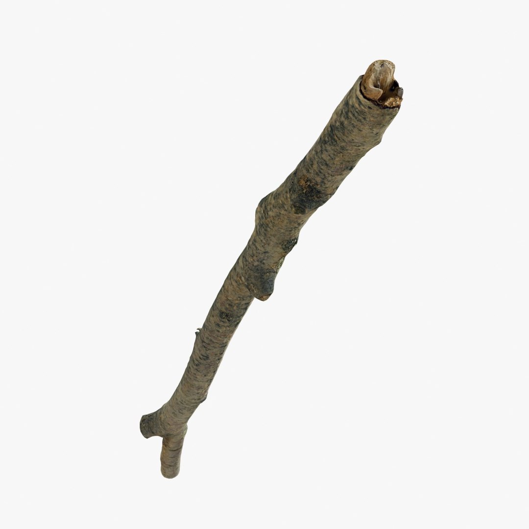 3D Realistic Branch 02 Model - TurboSquid 1218187